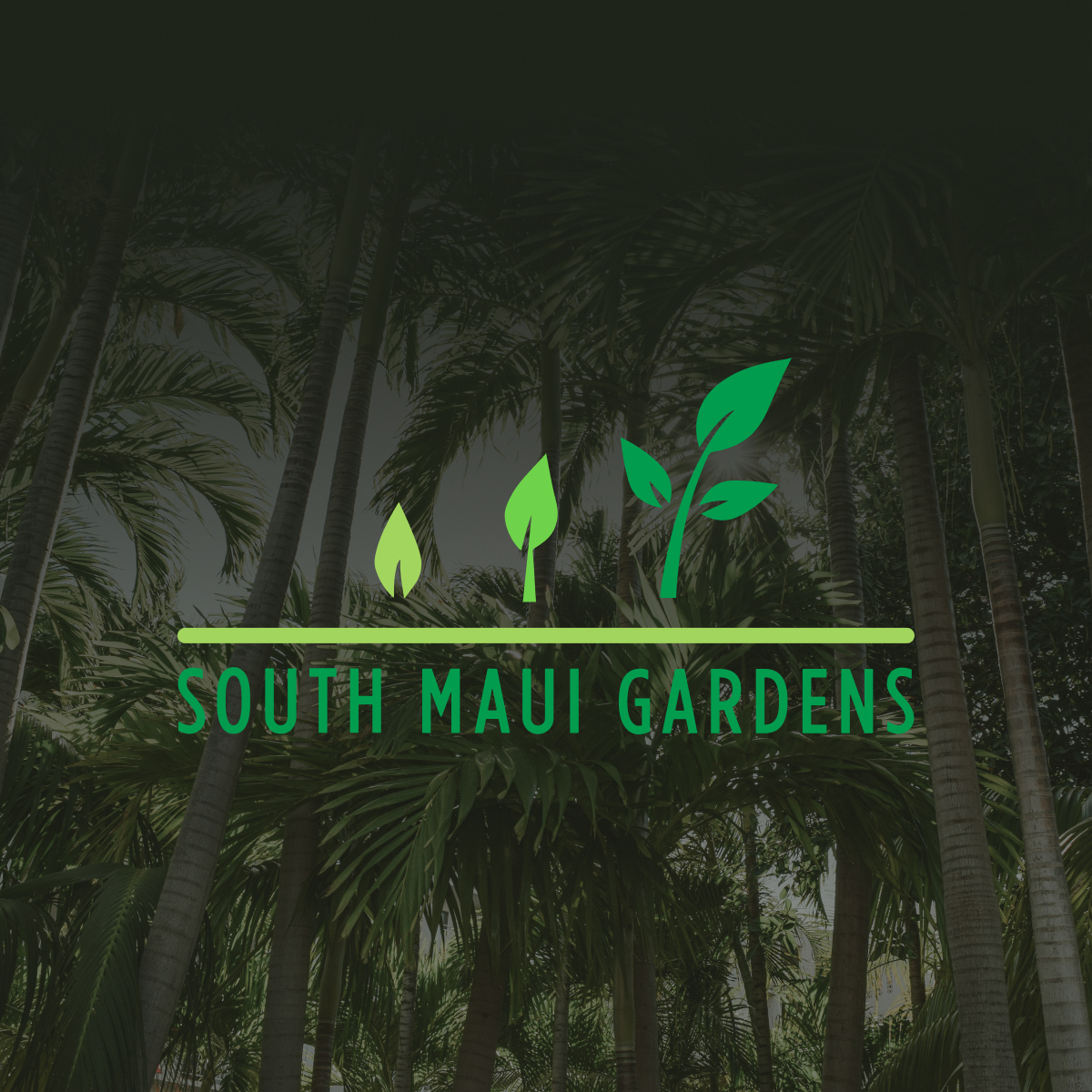 Purchase Tickets to the Maui Hula Show | South Maui Gardens